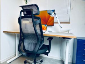 FLEXISPOTのオフィスチェア C2 レビュー｜6万円台で体感できるエルゴノミクスチェアで快適な座り心地 | カラクリンカム | ガジェットとインテリアでデスク周りを整える